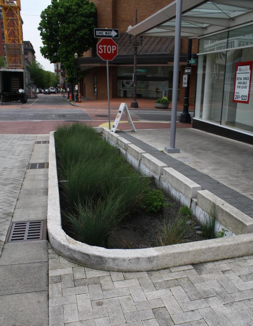 Green Streets of Portland, Oregon – Land Perspectives
