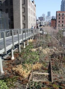 The High Line, Section 2 – Land Perspectives