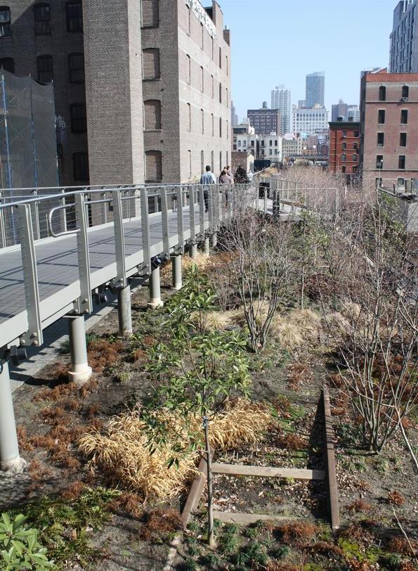 The High Line, Section 2 – Land Perspectives