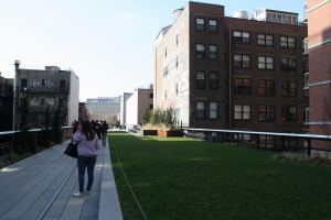 The High Line, Section 2 – Land Perspectives