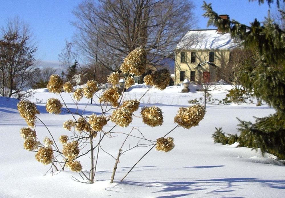 winter – Land Perspectives