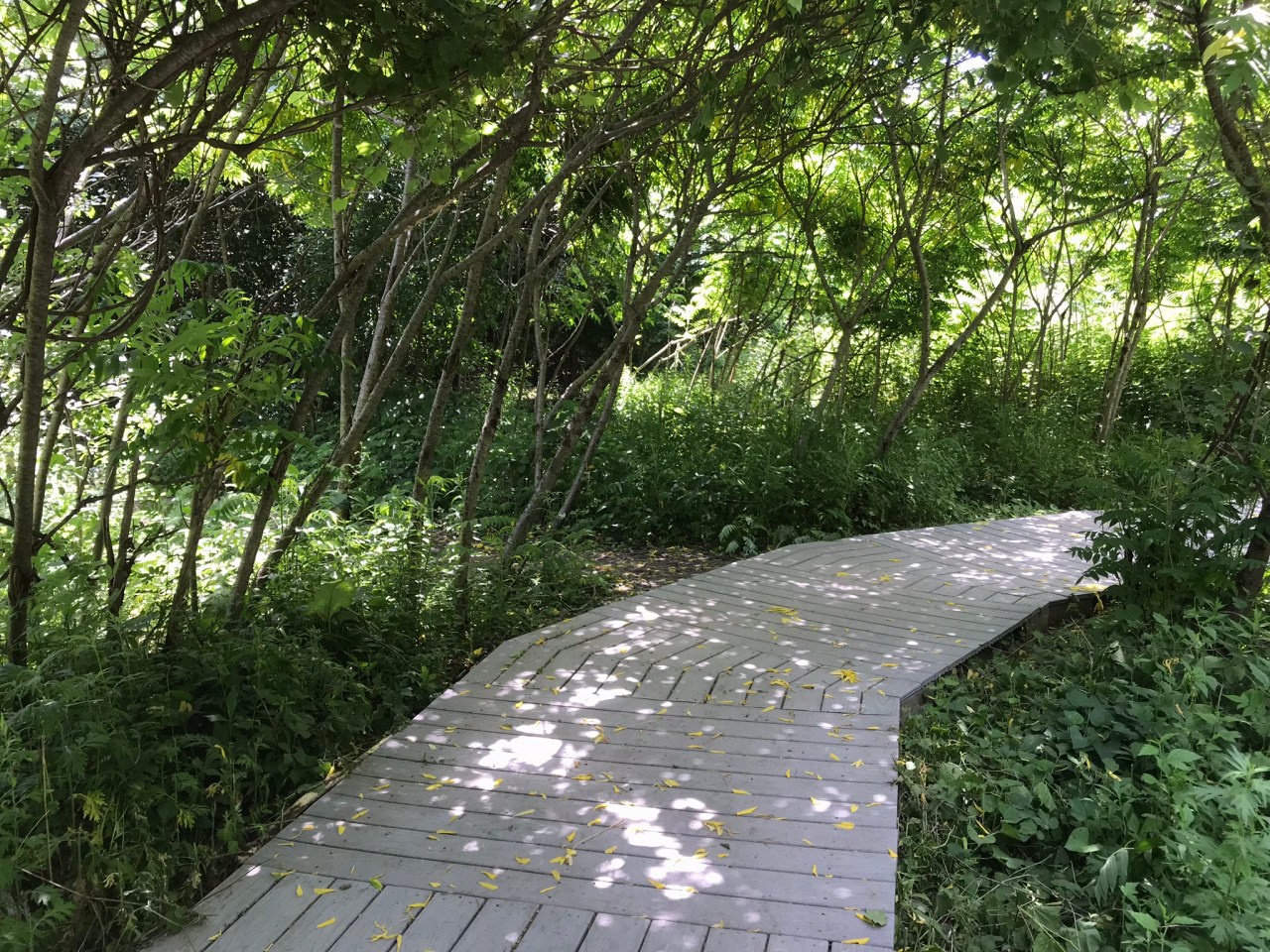 Playgrounds – Land Perspectives